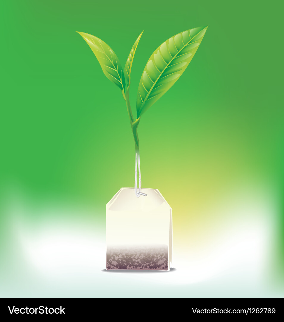 Tea bag Royalty Free Vector Image - VectorStock