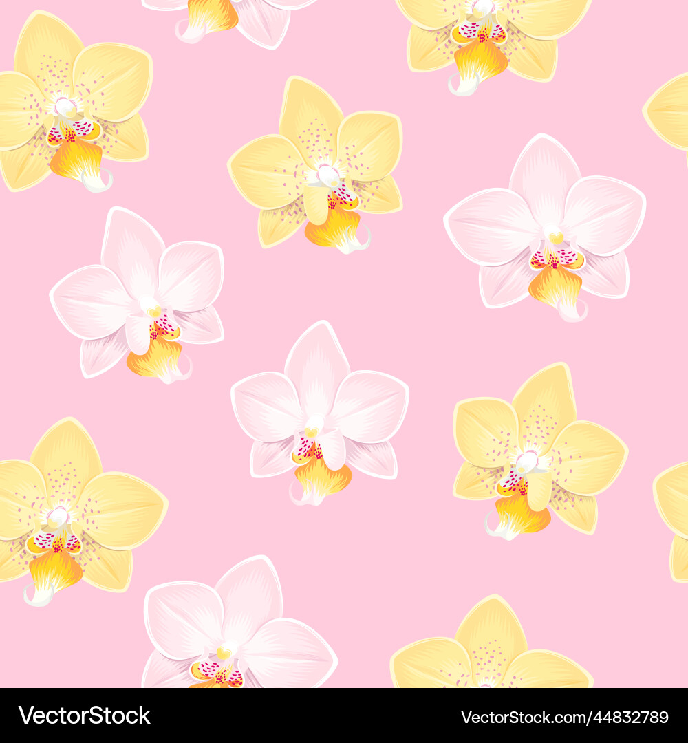 Yellow and white orchids seamless pattern Vector Image