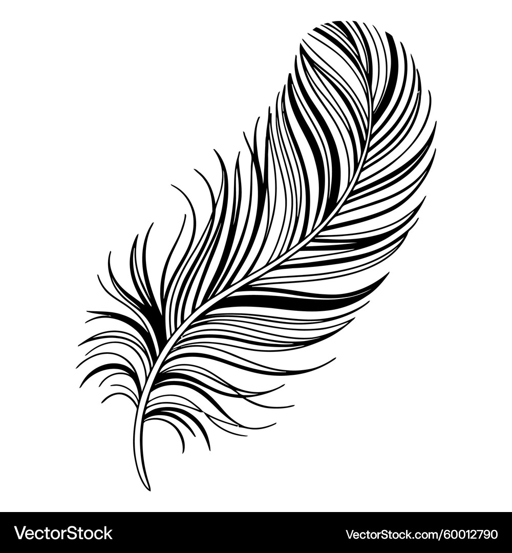 Abstract feather line art silhouette Royalty Free Vector