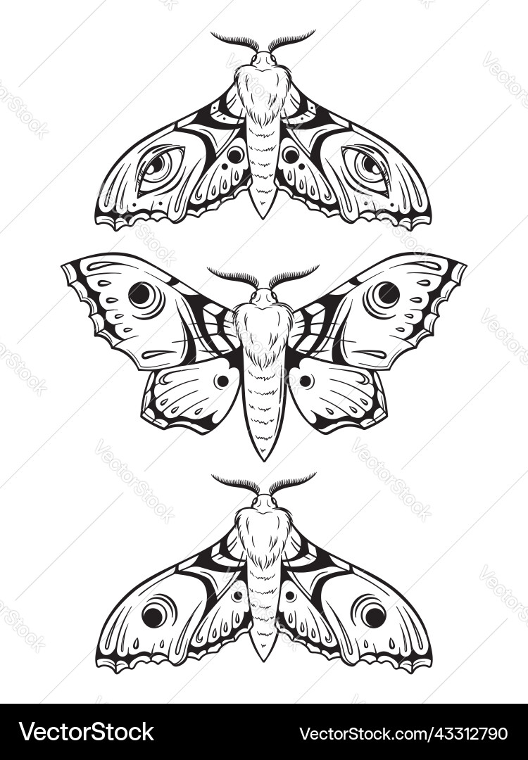 Gothic Hawk Moth Line Art Royalty Free Vector Image