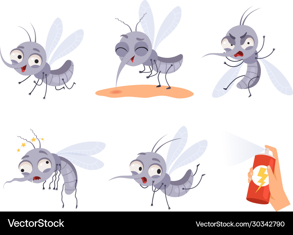 Mosquito cartoon warning flying insects dangerous Vector Image