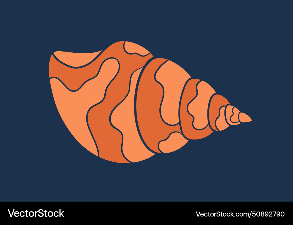 Seashell doodle concept Royalty Free Vector Image