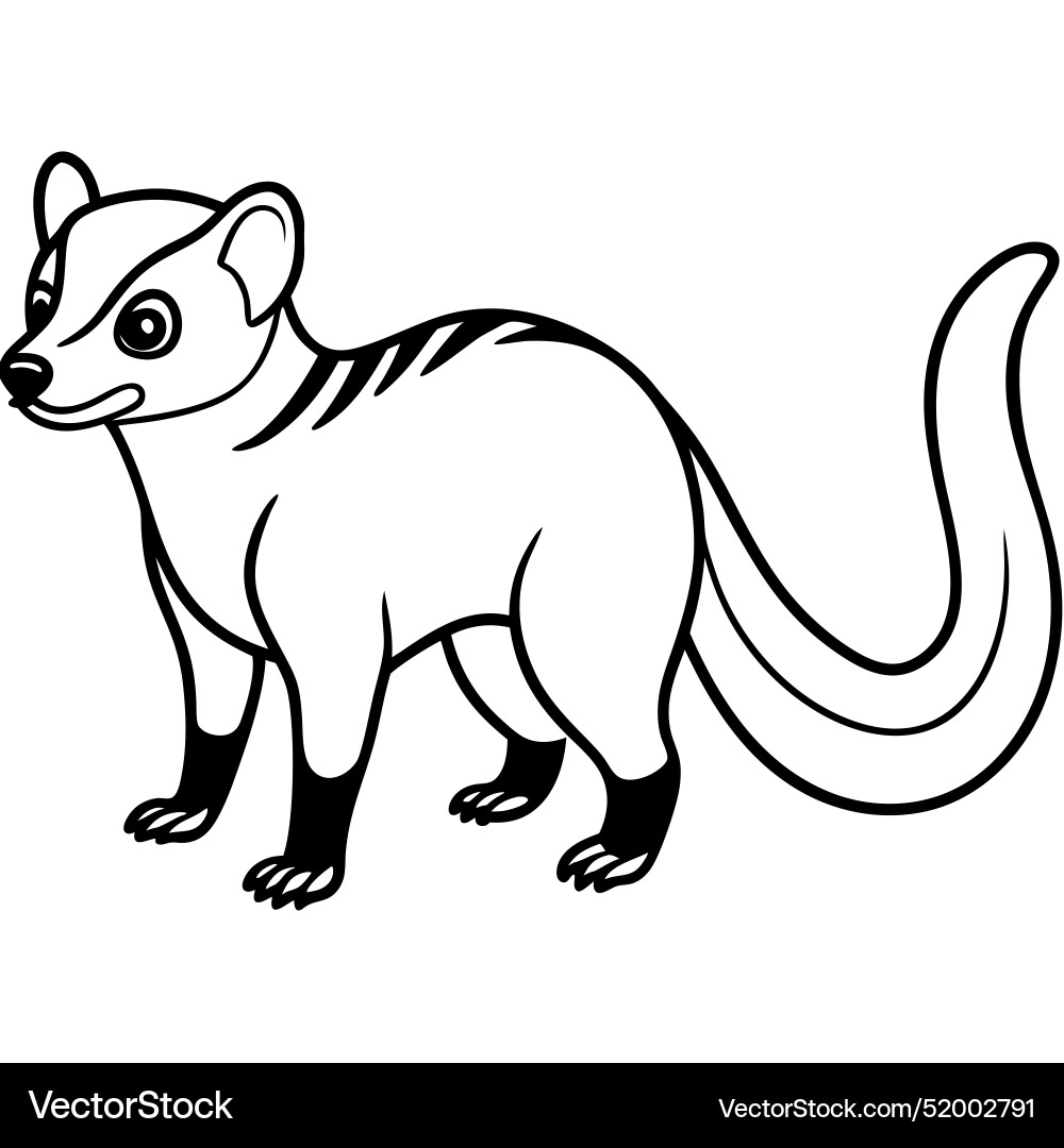 Coati rodent stands icon Royalty Free Vector Image