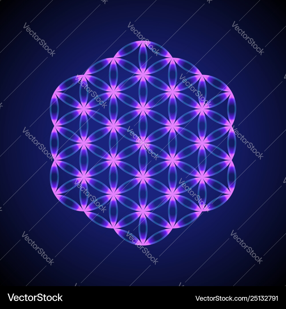Sacred Geometry Mandala Royalty Free Vector Image