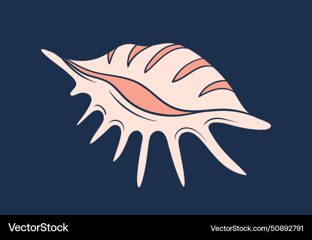 Seashell doodle concept Royalty Free Vector Image