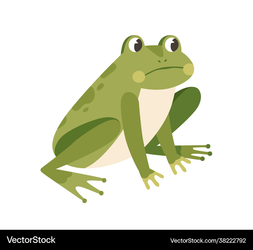 Sad frog sitting with unhappy face funny Vector Image