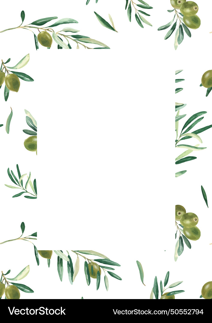 Floral background card template with green olive Vector Image