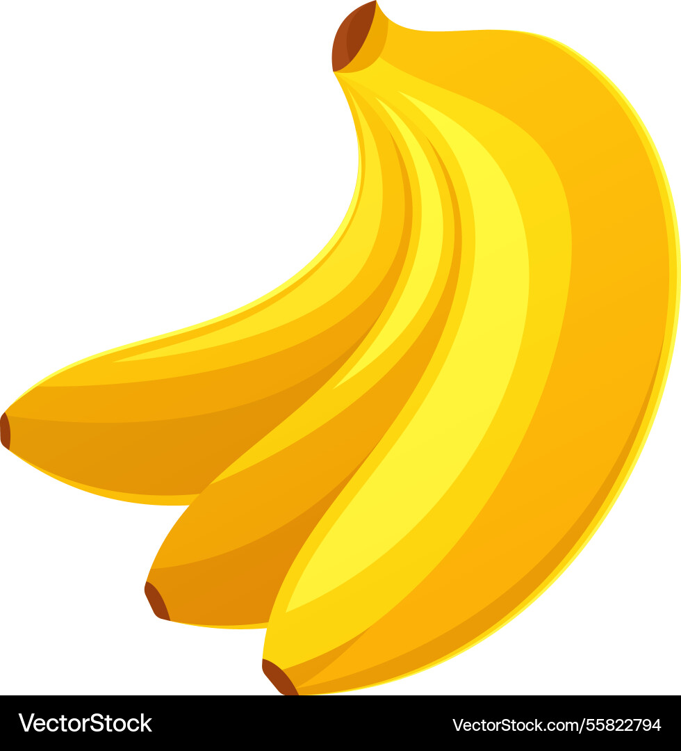Ripe natural banana Royalty Free Vector Image - VectorStock