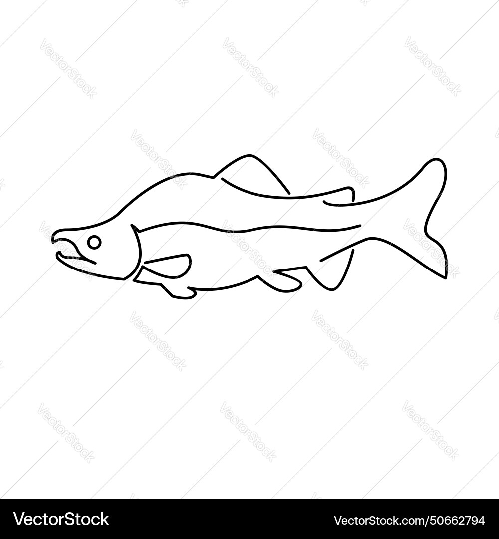 Salmon fish outline Royalty Free Vector Image - VectorStock