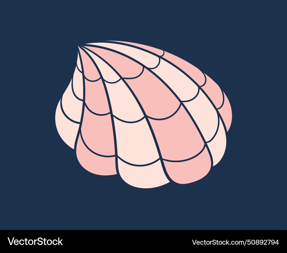Seashell doodle concept Royalty Free Vector Image