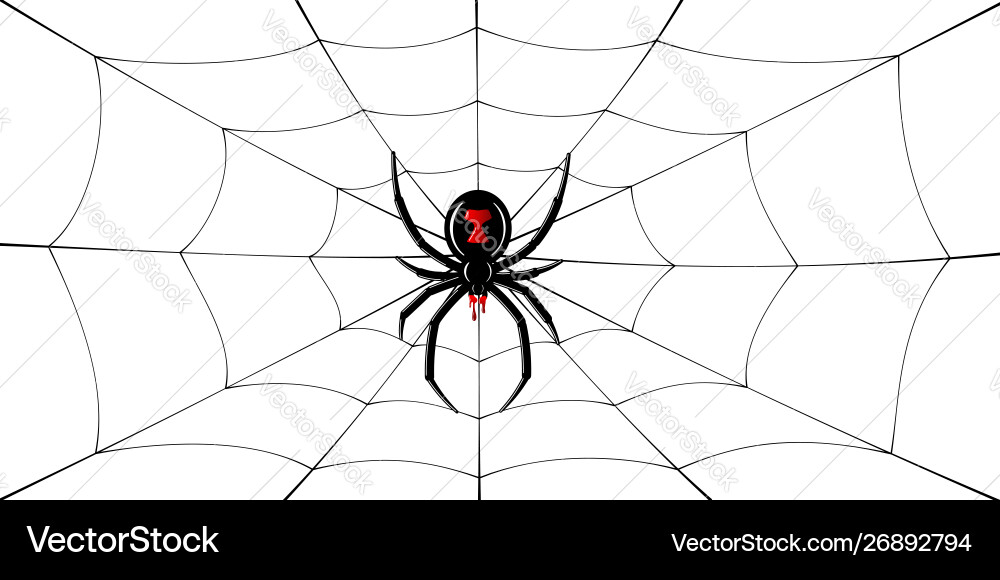 Spider black widow cobweb red 3d Royalty Free Vector Image