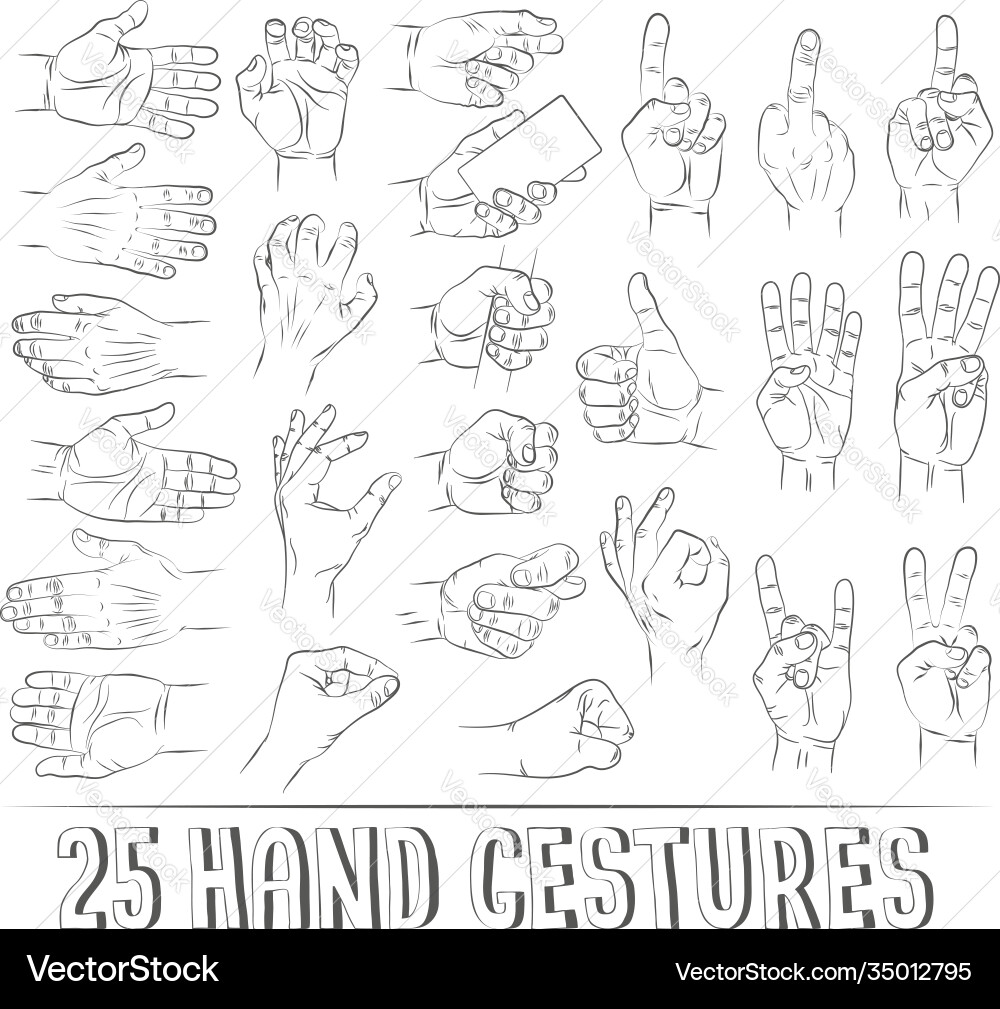 25 realistic hand gestures Royalty Free Vector Image
