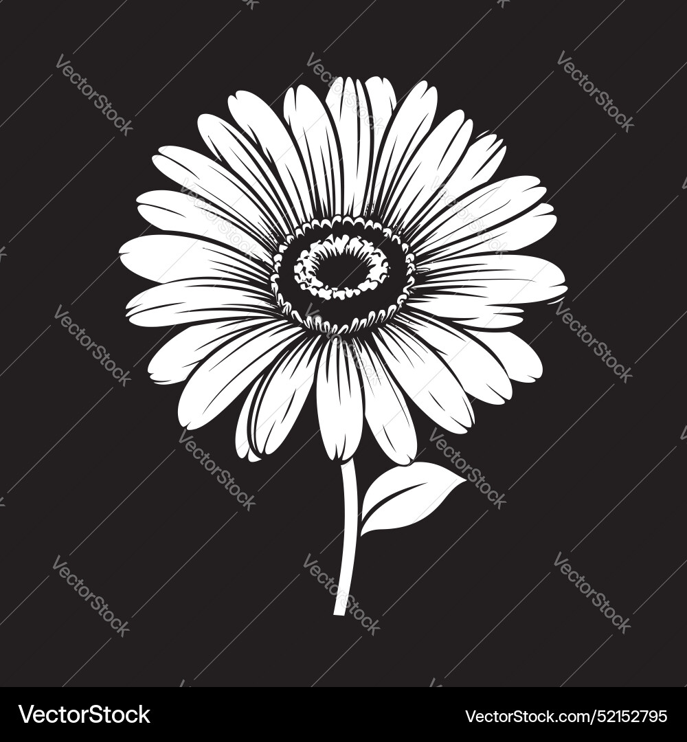 Sunny petals gerbera daisy icon design Royalty Free Vector