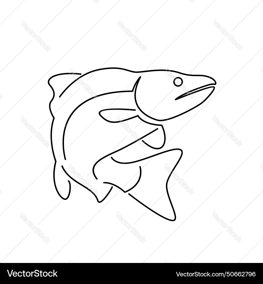 Salmon fish outline Royalty Free Vector Image - VectorStock