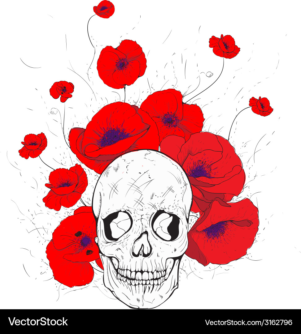 Skull and poppies Royalty Free Vector Image - VectorStock