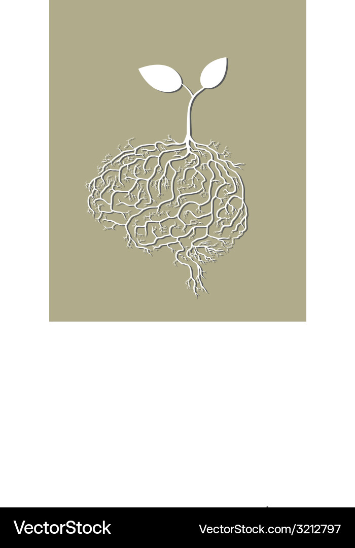 Brain Root Seedling Royalty Free Vector Image - VectorStock