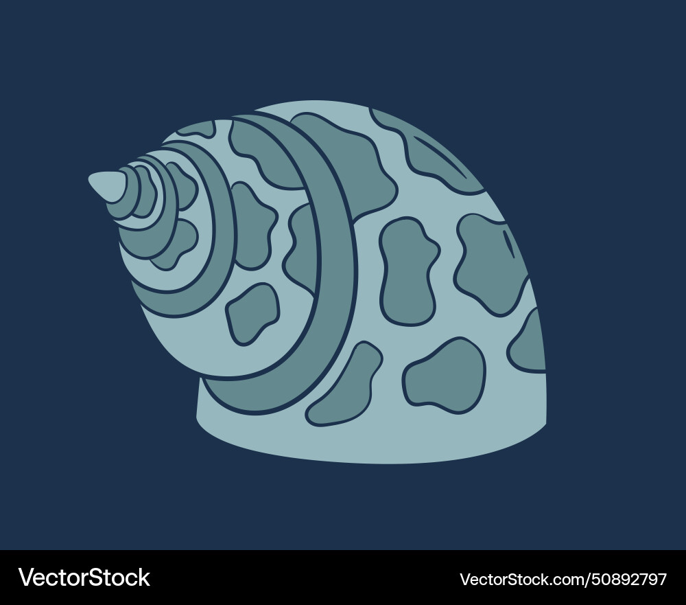 Seashell doodle concept Royalty Free Vector Image