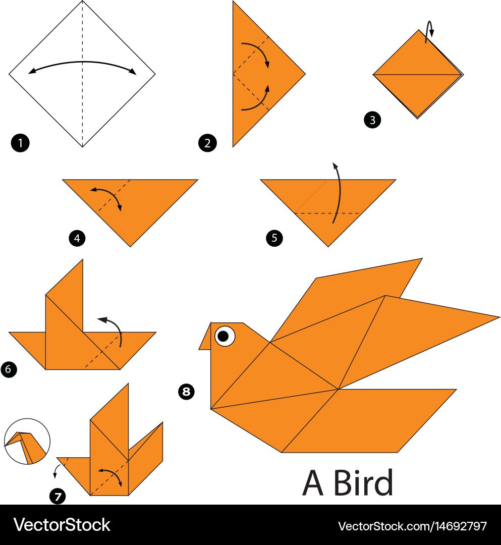 Step by instructions how to make origami Vector Image
