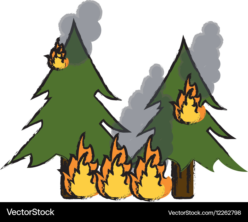 Drawing wildfire destroys pines smock Royalty Free Vector