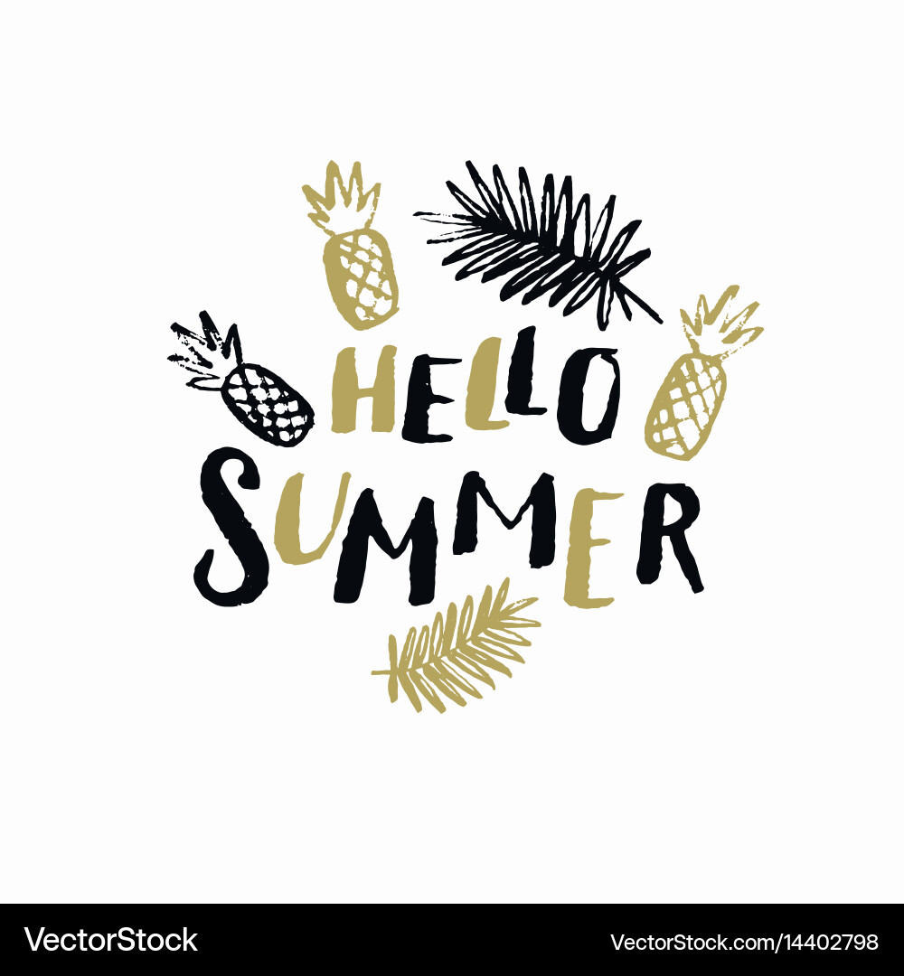 Hello summer modern hand drawn lettering phrase Vector Image