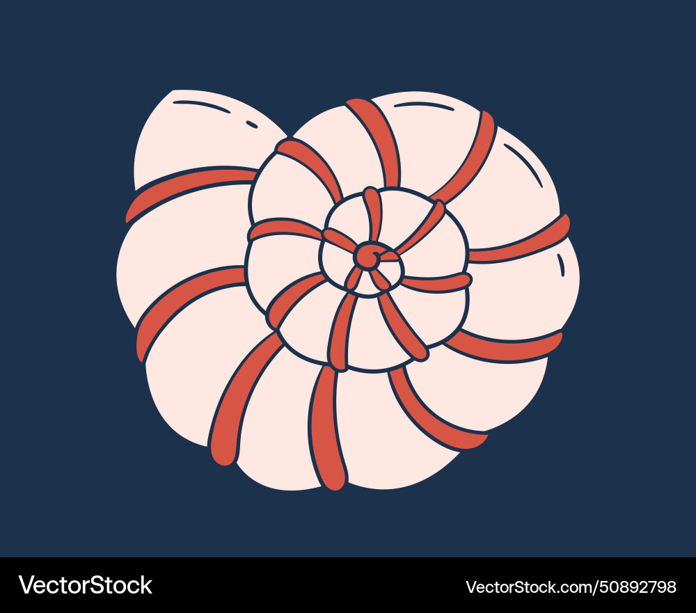 Seashell doodle concept Royalty Free Vector Image