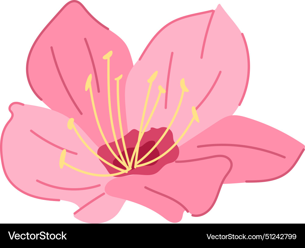 Japan sakura cherry blossom cartoon Royalty Free Vector