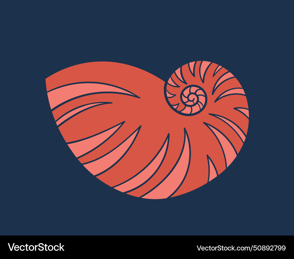 Seashell doodle concept Royalty Free Vector Image