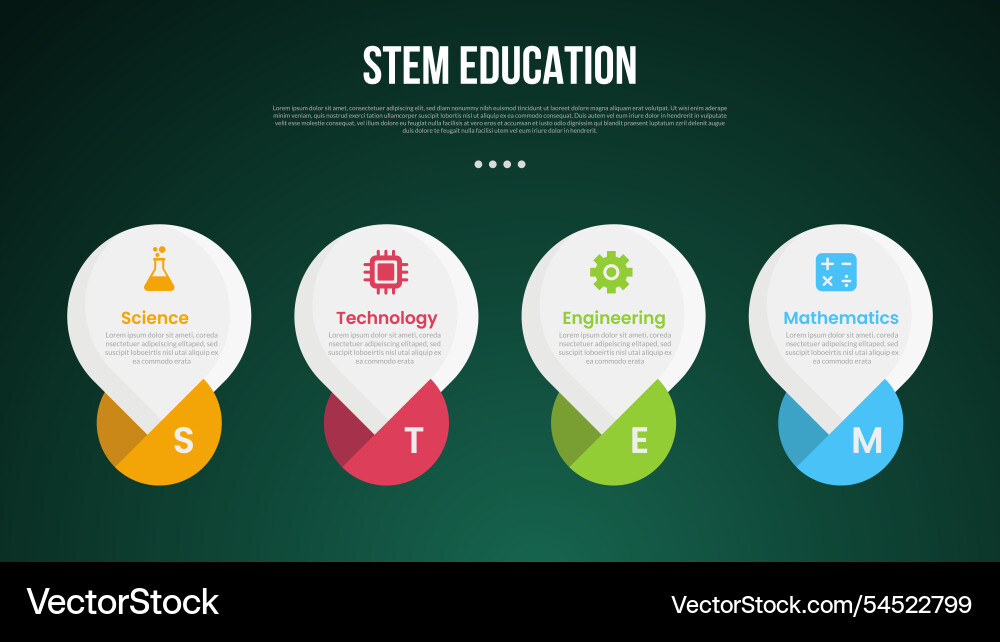 Stem education infographic concept for slide Vector Image
