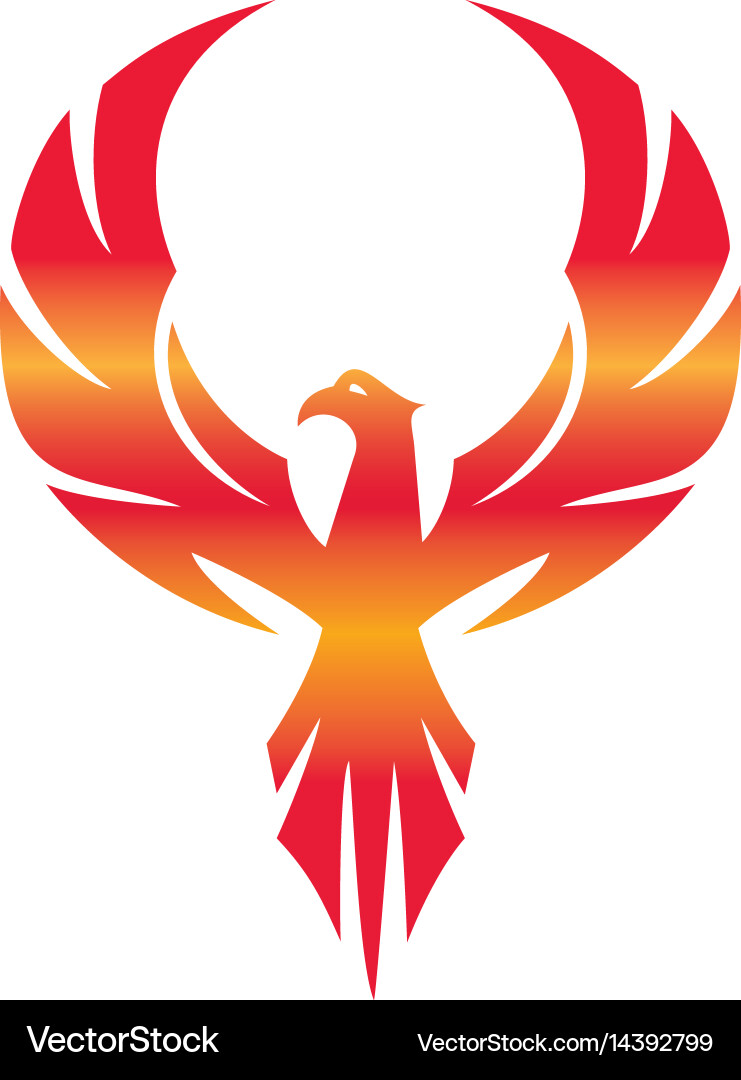 Phoenix Rising Vector Images (over 1,000)