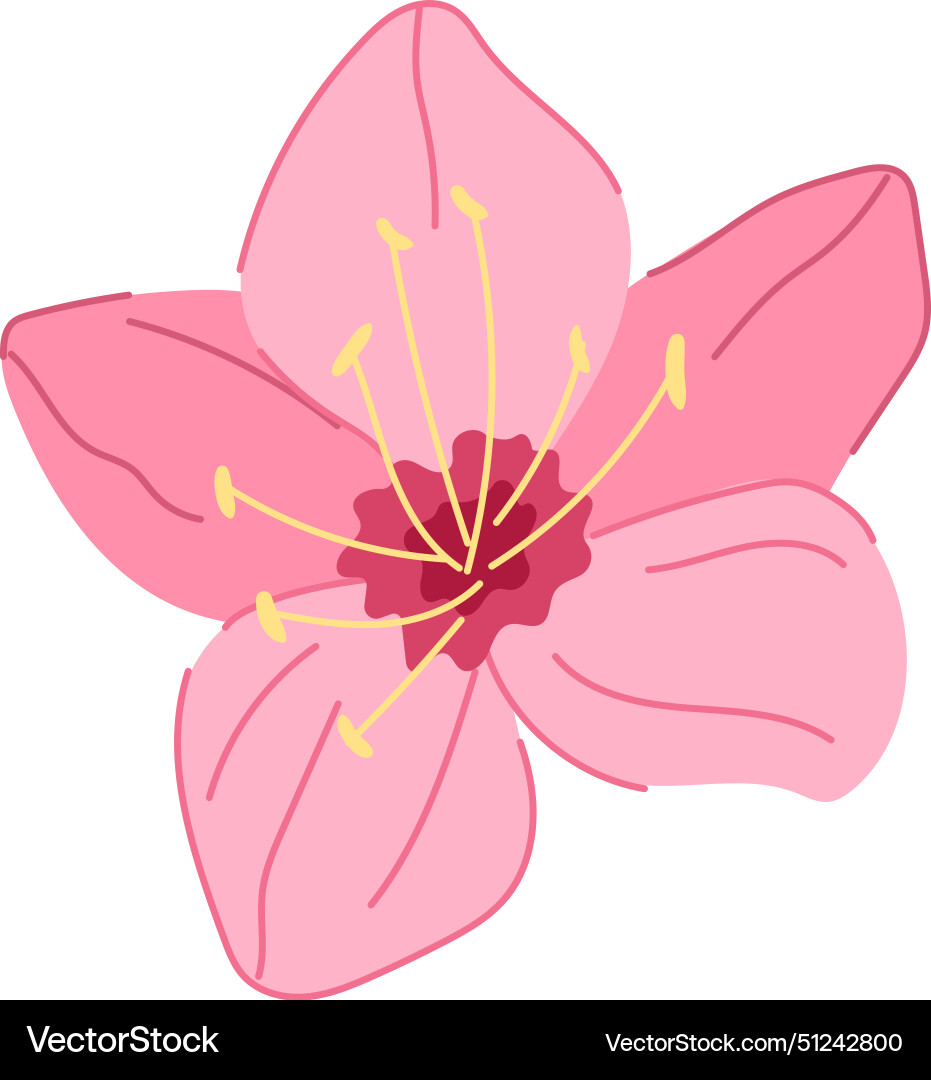 Flower sakura cherry blossom cartoon Royalty Free Vector