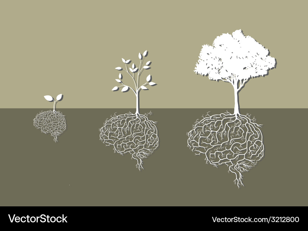 Root brain Royalty Free Vector Image - VectorStock