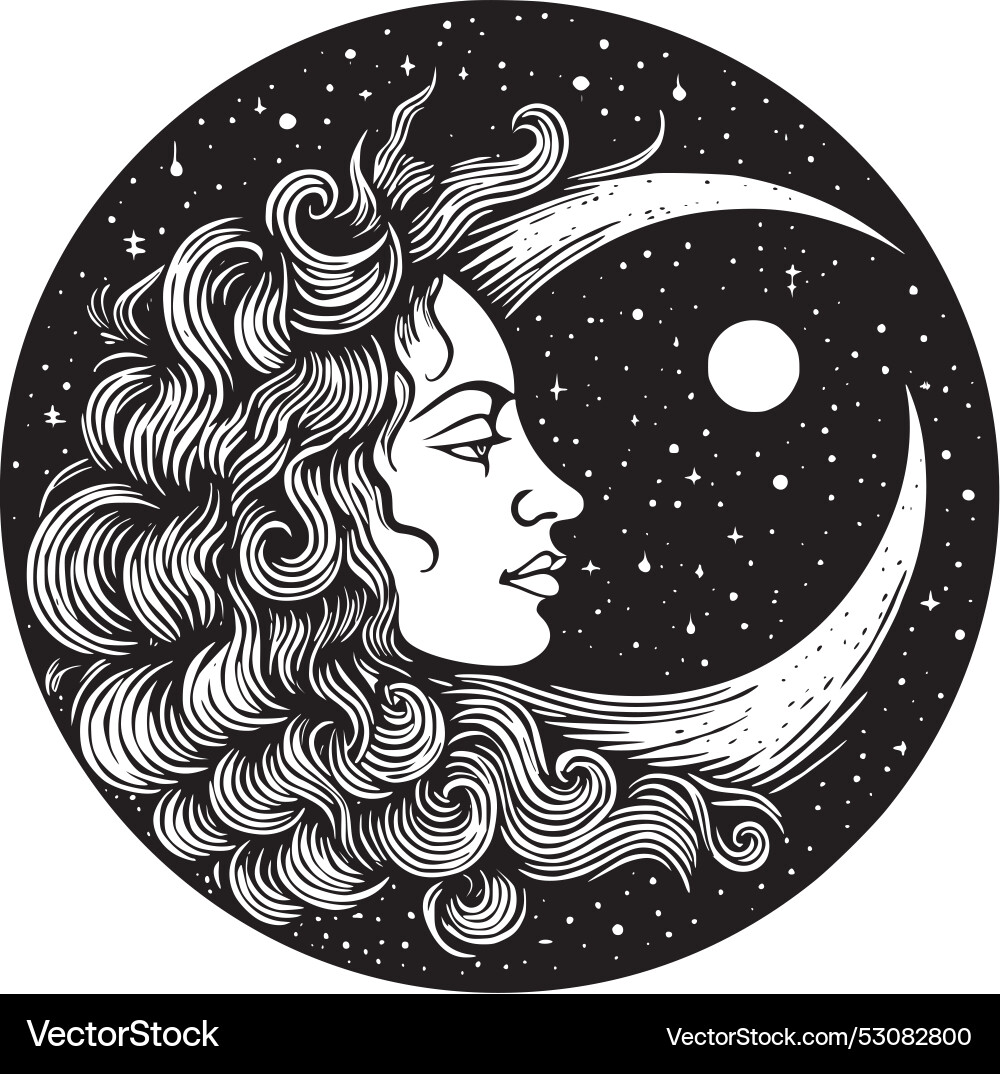 Silhouette moon Royalty Free Vector Image - VectorStock