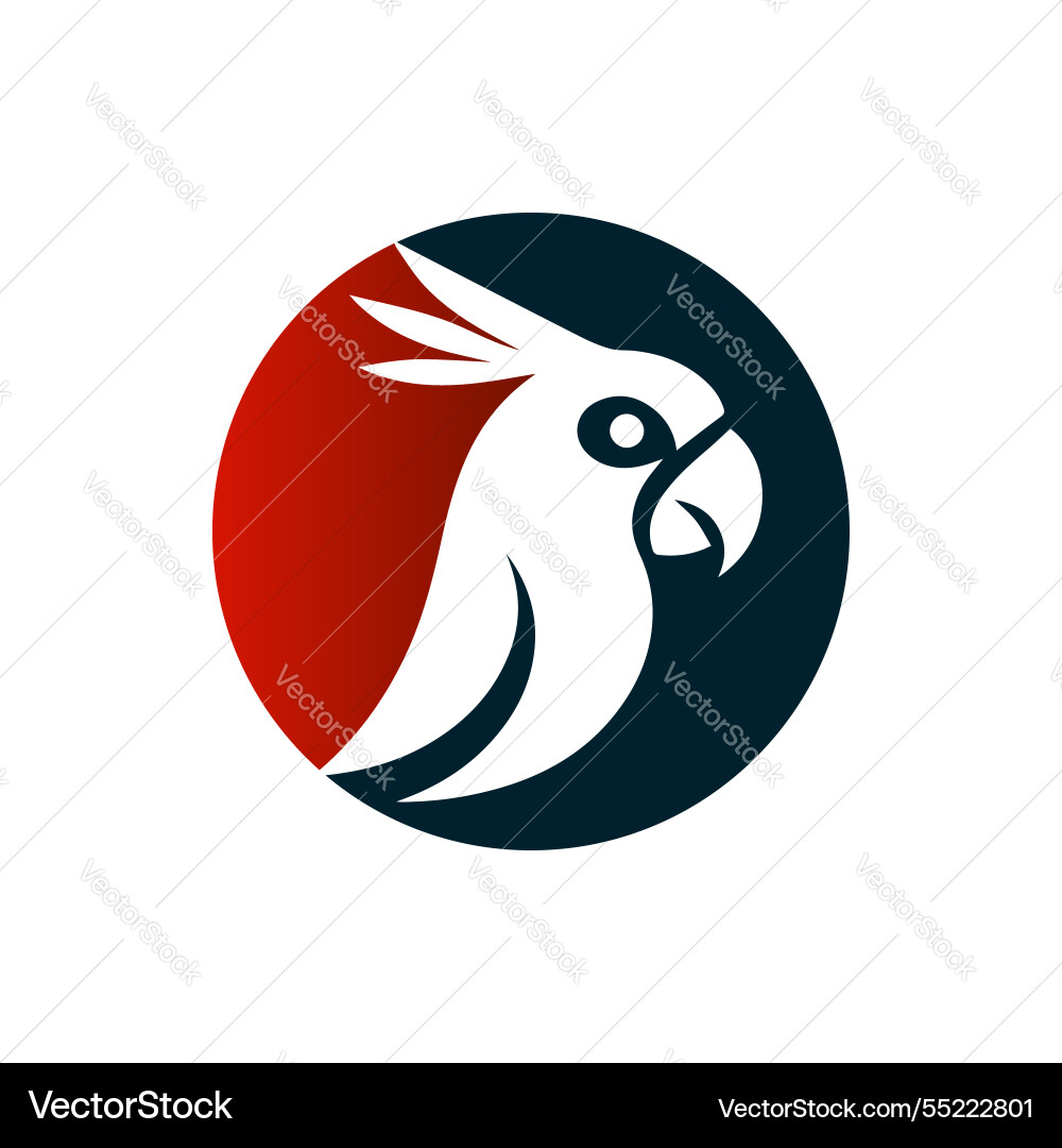 Parrot logo Royalty Free Vector Image - VectorStock