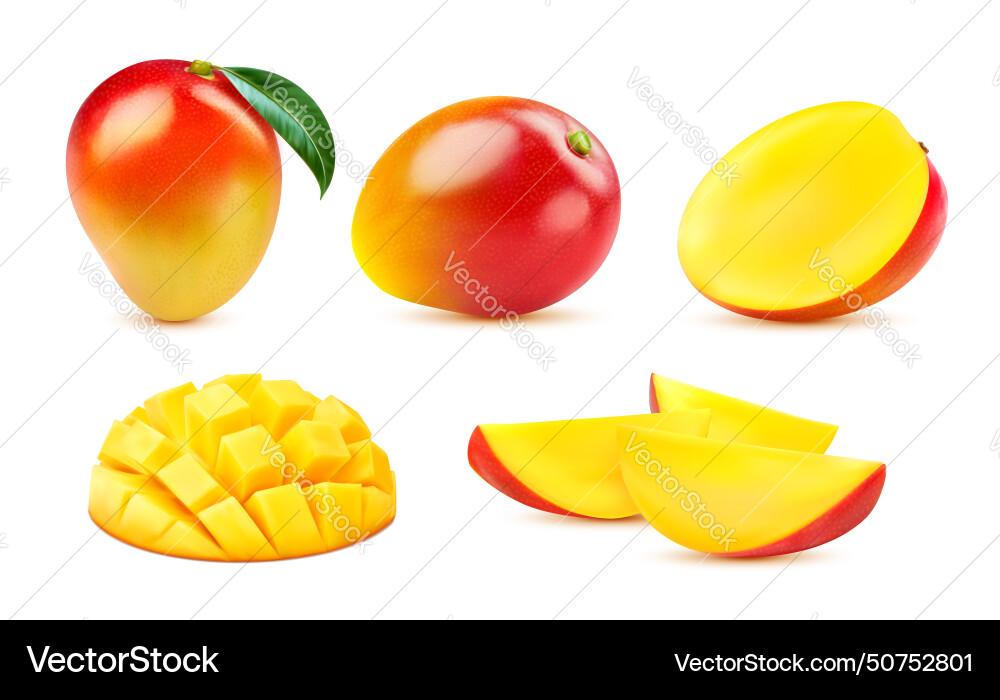 Tropical realistic mango fruit slices with leaves Vector Image