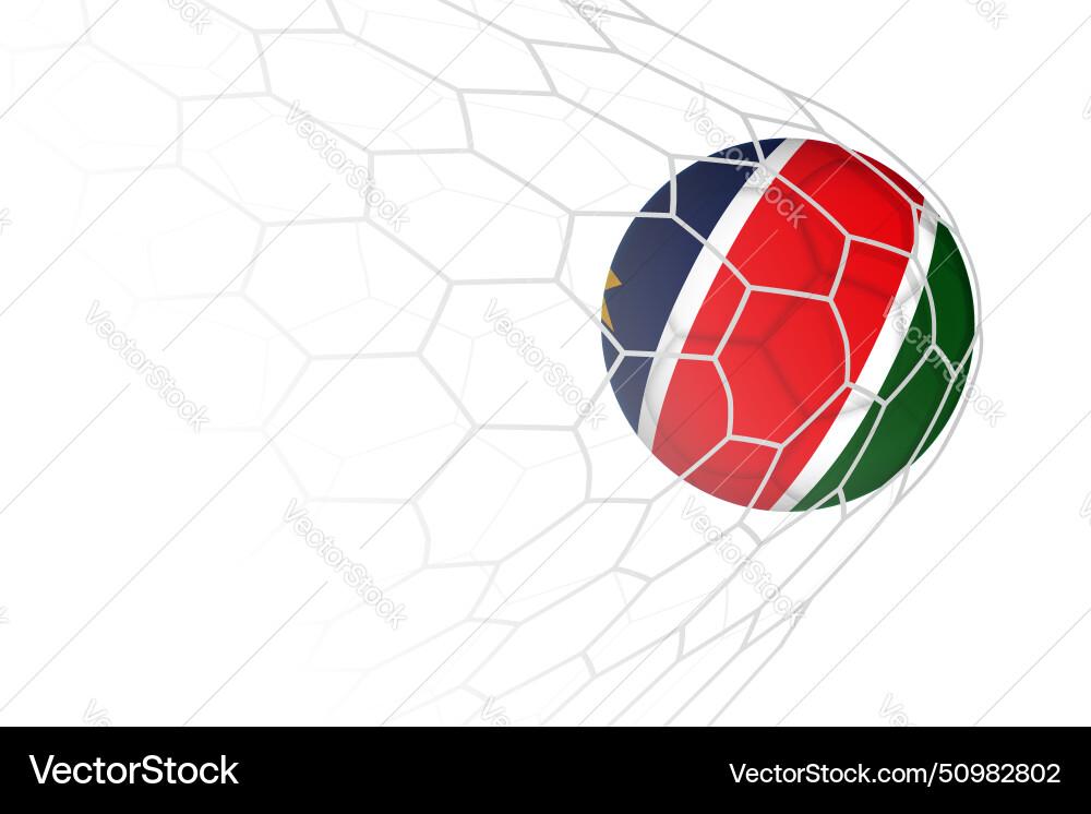 Namibia flag soccer ball in net Royalty Free Vector Image
