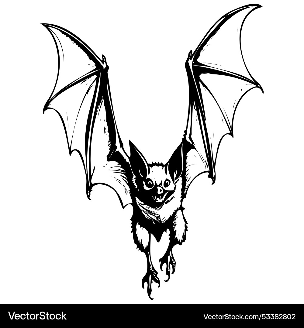 Sketches bat jump monochrome outline drawing Vector Image
