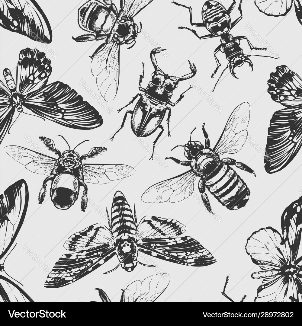 Vintage Insect Pattern Royalty Free Vector Image