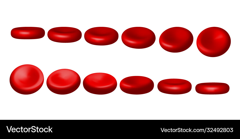 Red blood cells set erythrocytes in various Vector Image