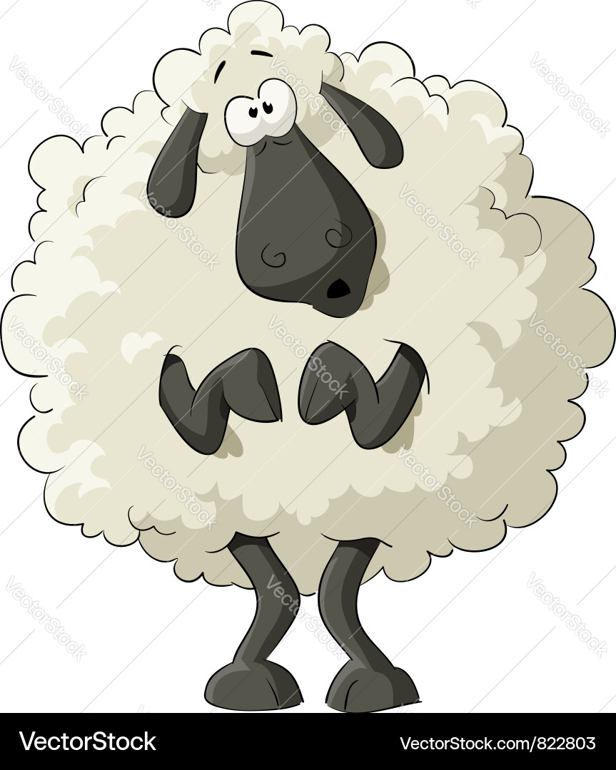 Scared sheep Royalty Free Vector Image - VectorStock