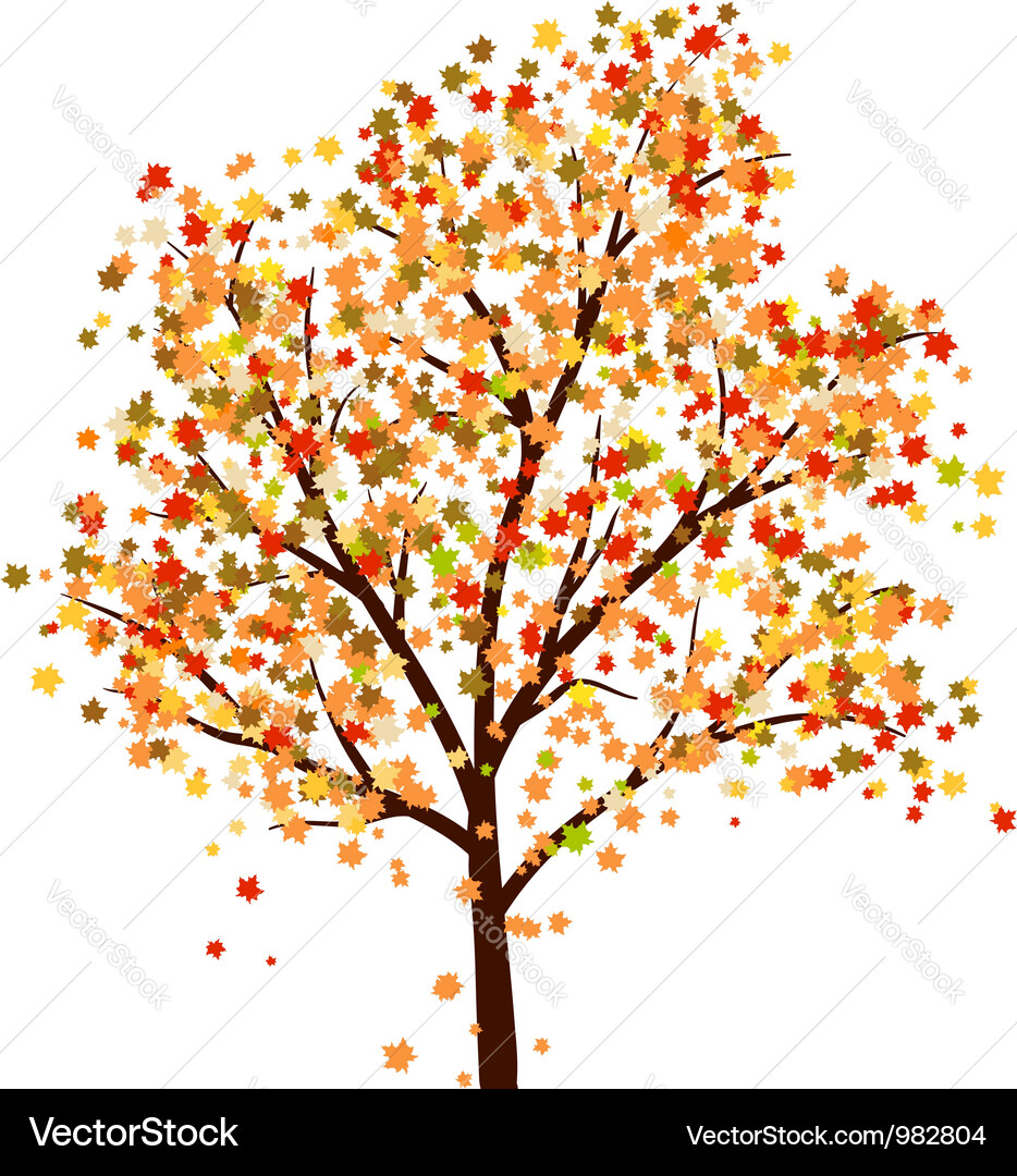 Autumn Maple Tree Royalty Free Vector Image - VectorStock