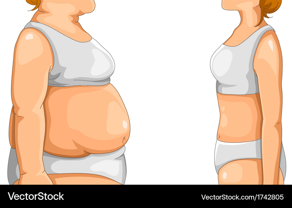 Fat vs. Thin Woman Royalty Free Vector Image - VectorStock