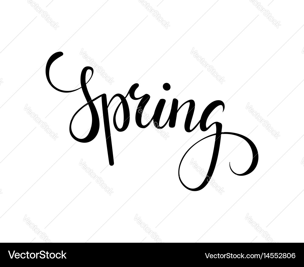 Hello spring hand drawn calligraphy and brush pen Vector Image