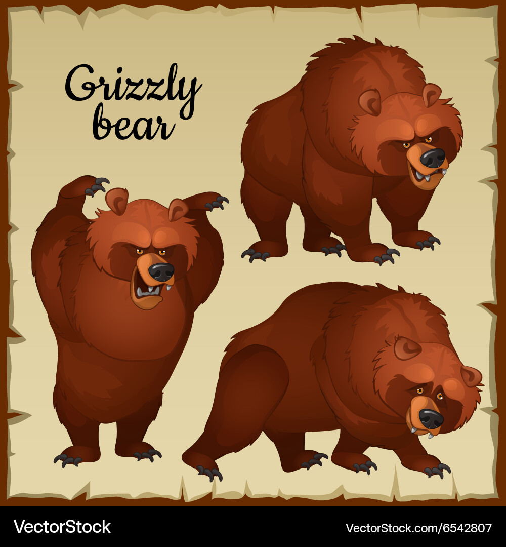 Angry brown bear attacks Royalty Free Vector Image