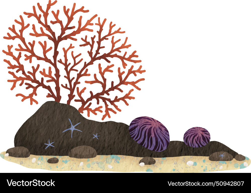 Coral on stone reef with starfish and seashell Vector Image