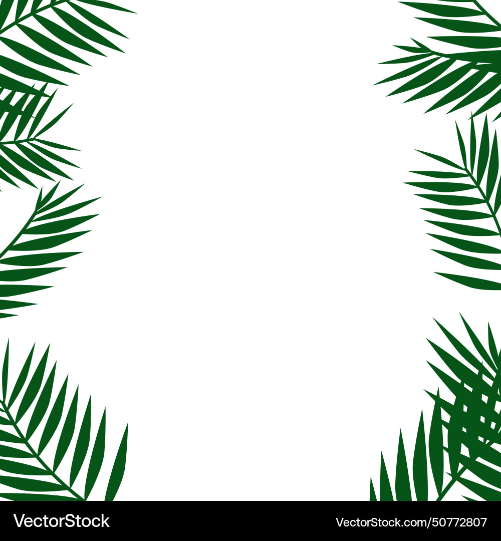 Green exotic leaves frame tropical square border Vector Image