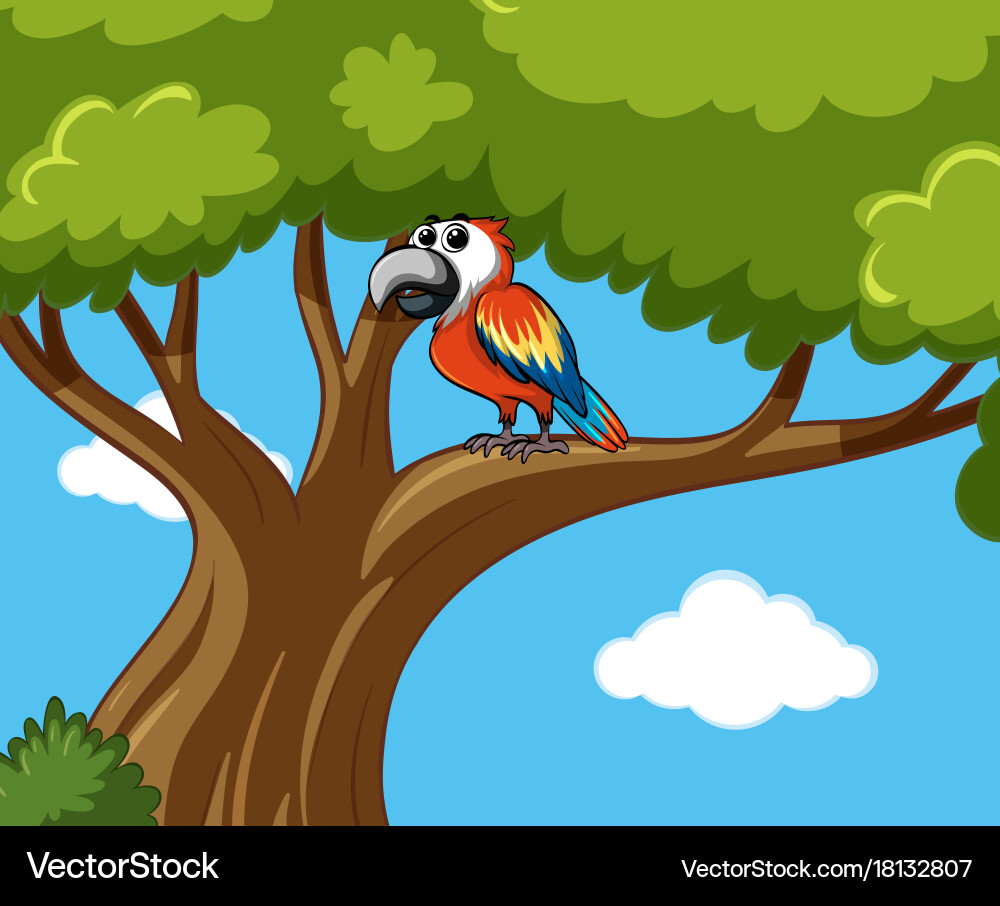 Parrot bird on the tree Royalty Free Vector Image