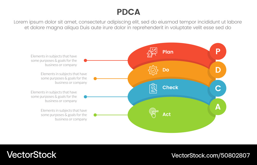Pdca management business continual improvement Vector Image