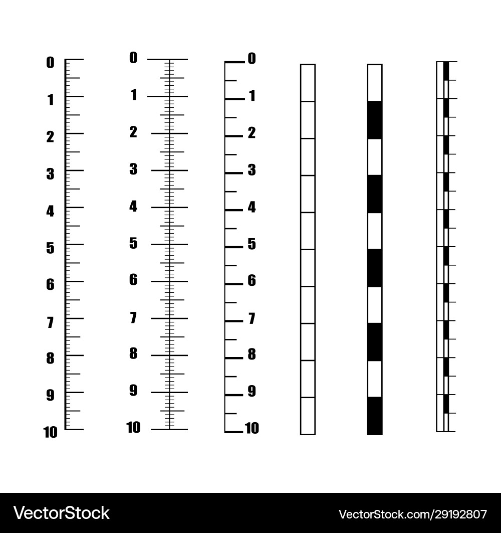Ruler inch set vertical scale Royalty Free Vector Image