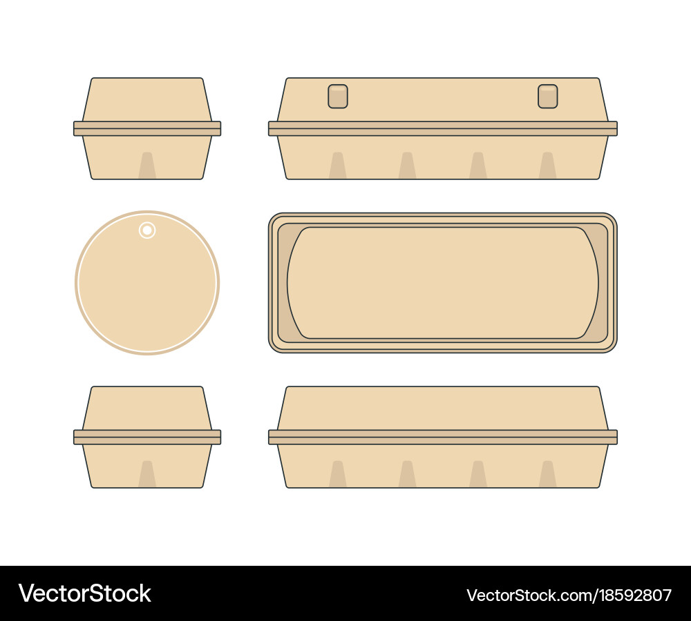 Stock template box for chicken eggs Royalty Free Vector