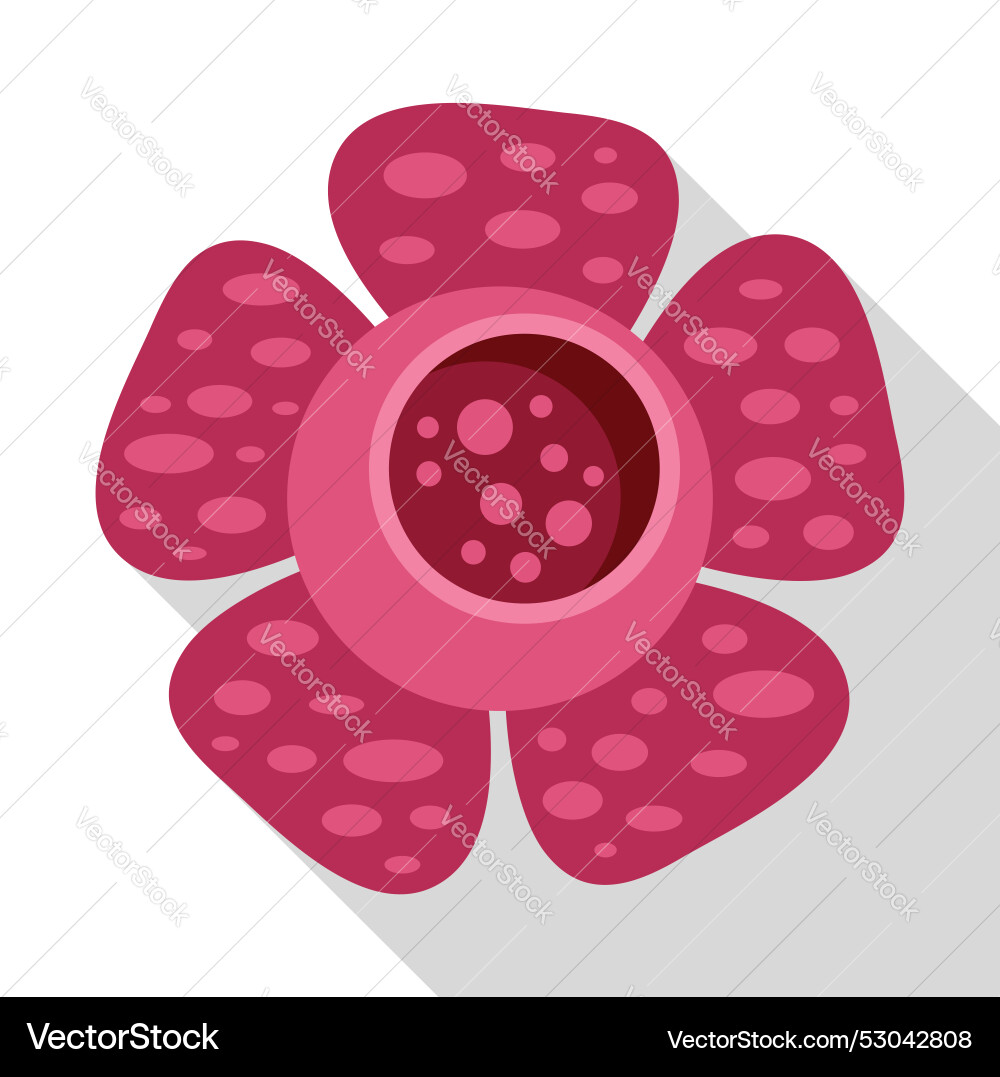 Rafflesia flower growing and showing its opened Vector Image